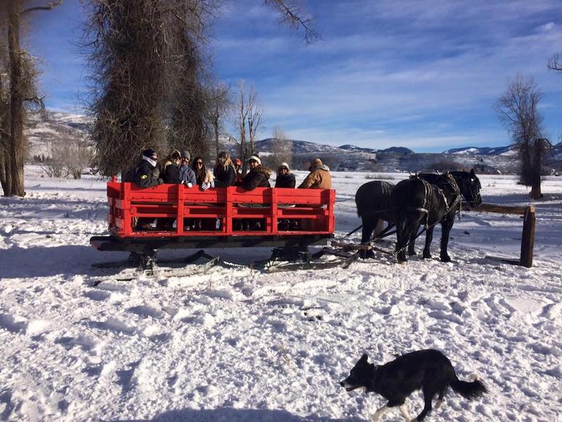 Take A Sleigh Ride Through The River Bottoms For A Truly Unique Utah ...