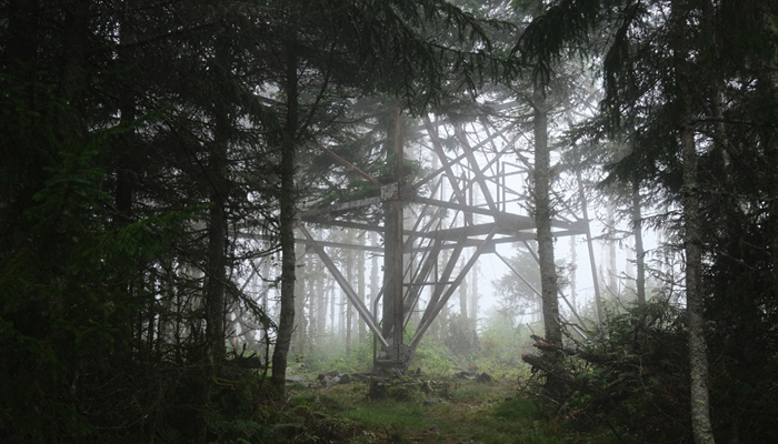 This New Hampshire Fire Tower Has Been Reclaimed By Nature