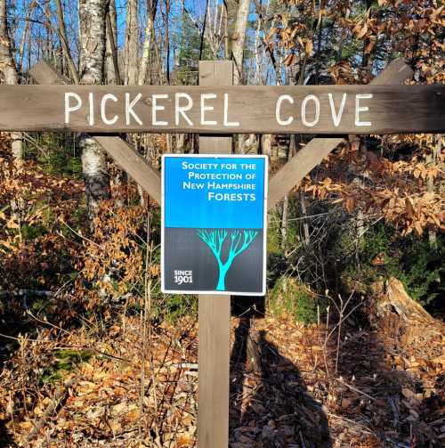 Stoddard Rocks: One of the Best Hikes in New Hampshire