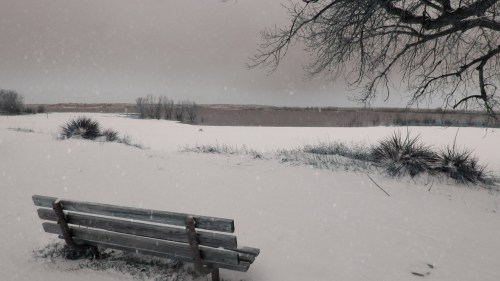 This Winter Park In Kansas Is A Beautiful, Icy Delight