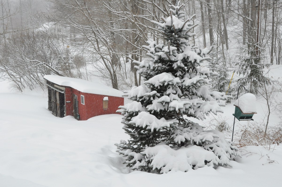 2015 Had One Of The Coldest Winters In Vermont