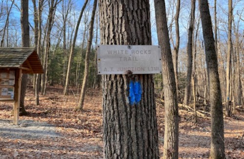 Explore White Rocks Trail Near Boiling Springs, Pennsylvania
