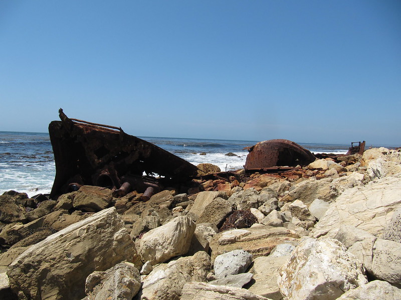 Fascinating Shipwreck In Southern California Reclaimed By Nature