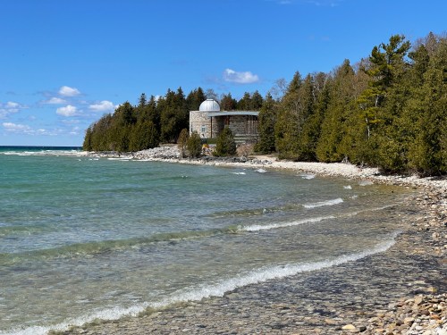 Spot The Rare Dwarf Lake Iris In Mackinaw City Michigan