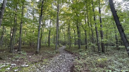 Explore White Rocks Trail Near Boiling Springs, Pennsylvania