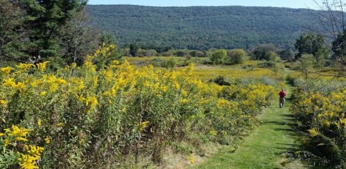 Spend A Day At Bald Eagle State Park Beach In Howard, Pennsylvania