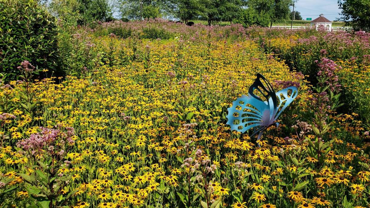 This Butterfly Garden Is A Lovely Early Spring Day Trip In Kentucky