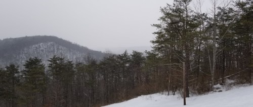 Spend A Day At Bald Eagle State Park Beach In Howard, Pennsylvania