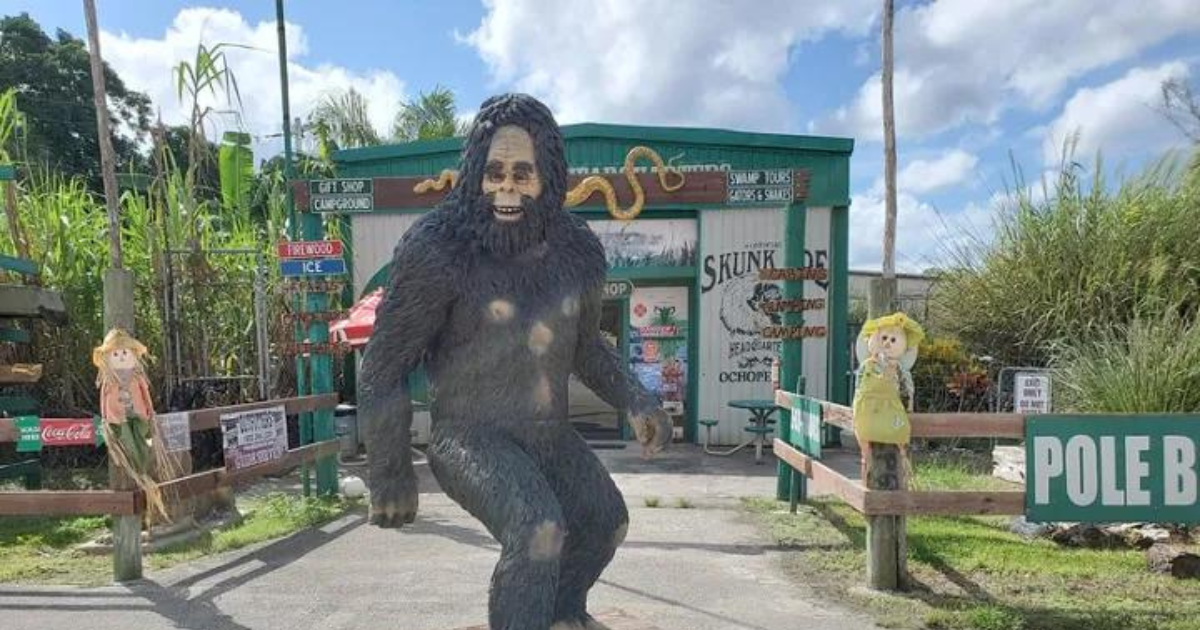 9 Fun And Weird Facts About Florida