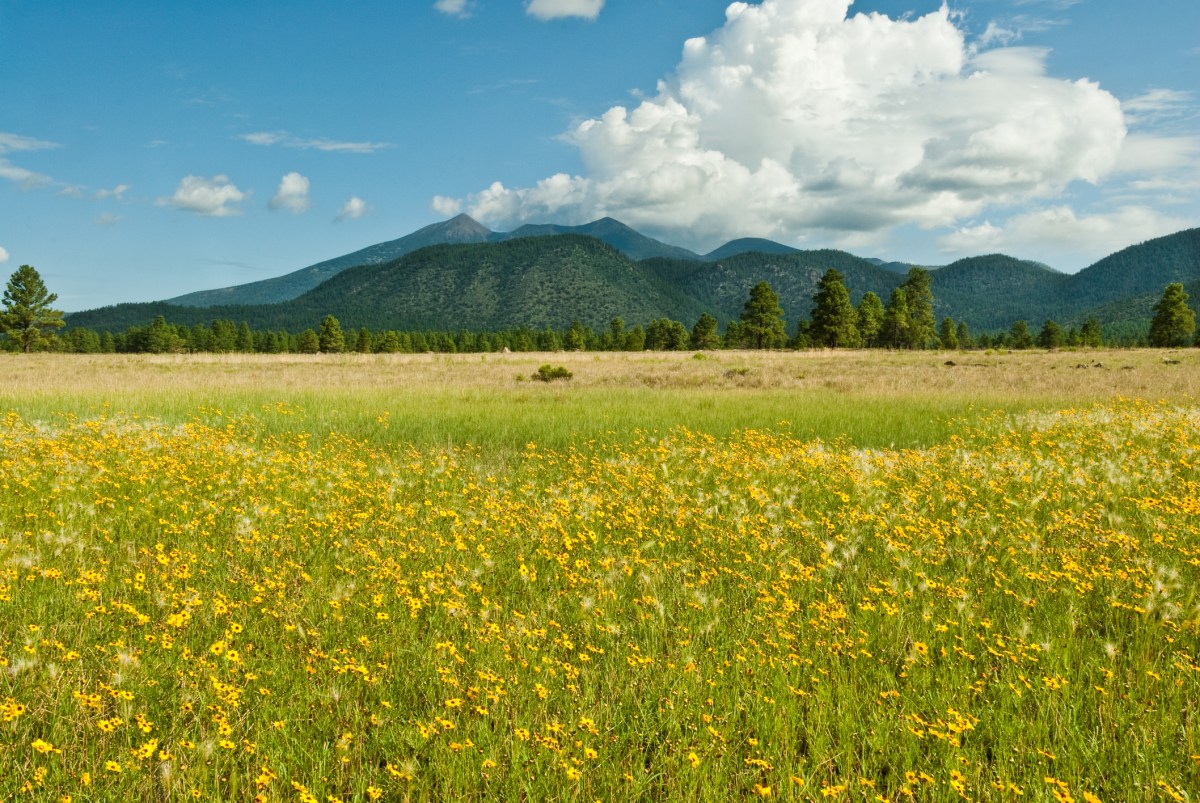 6 Natural Wonders In Arizona To Visit Year-Round