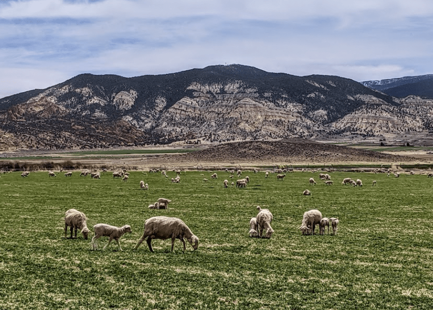 Bicknell, Utah: Most Peaceful Town In All Of Utah