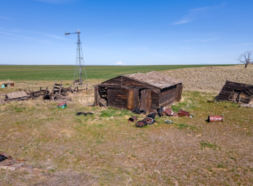 This Oregon Town Has Been Reclaimed By Nature For Decades