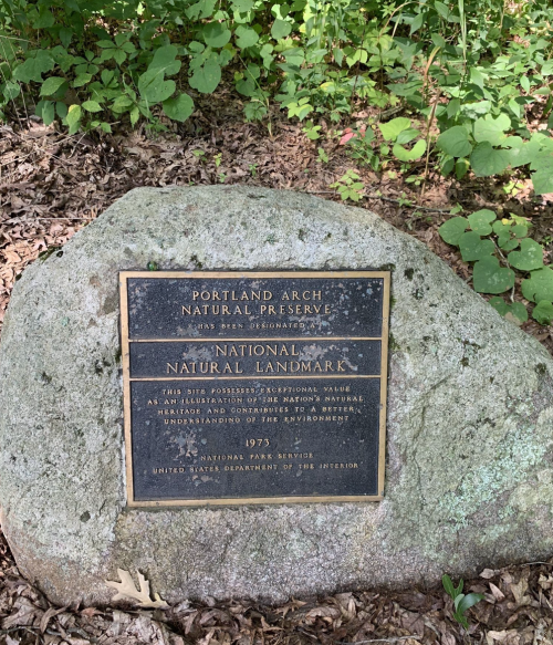 Portland Arch Nature Preserve: A Little-Known Hike In Indiana