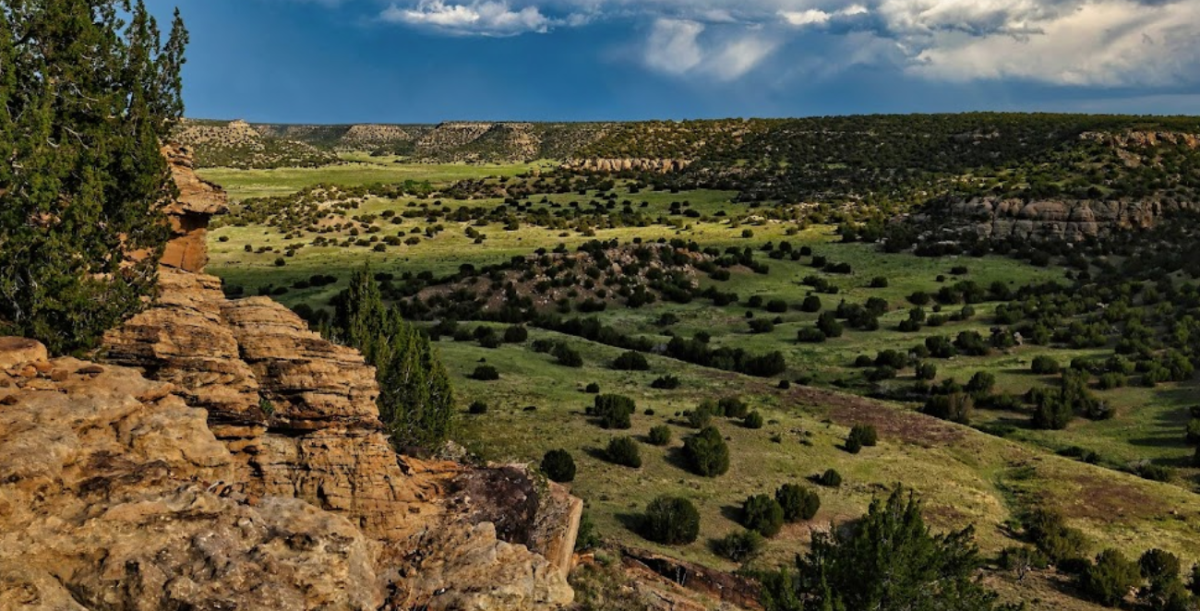 Hidden Gems In Colorado: Comanche National Grassland La Junta