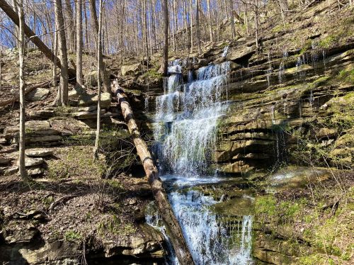 Best Hiking Trails in Sewanee, Tennessee for an Epic Weekend
