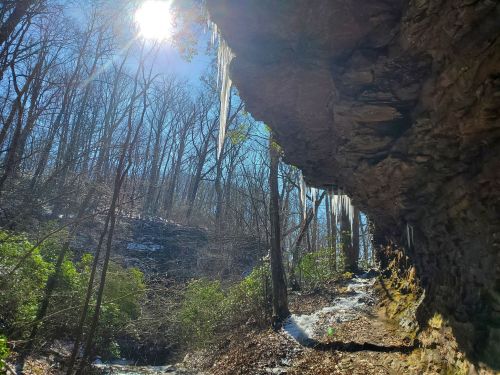 Best Hiking Trails in Sewanee, Tennessee for an Epic Weekend