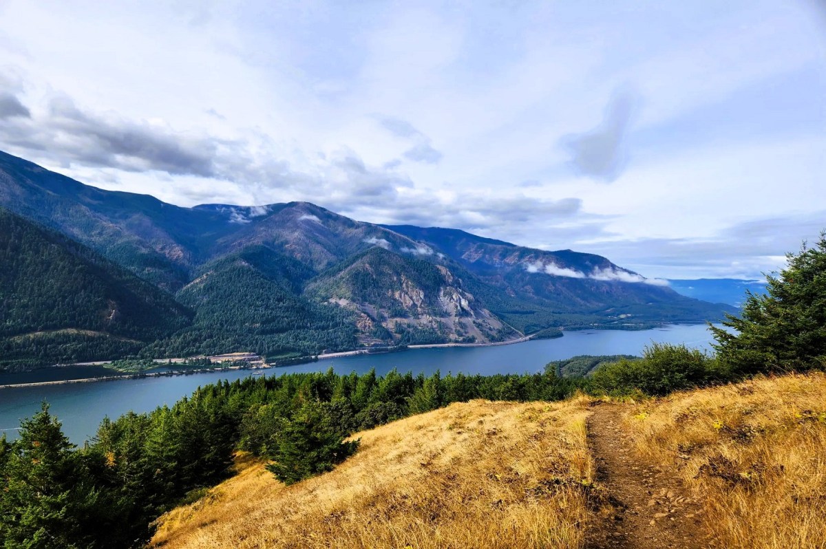 Best Hiking Trail in Carson, WA: Dog Mountain Trail in Washington