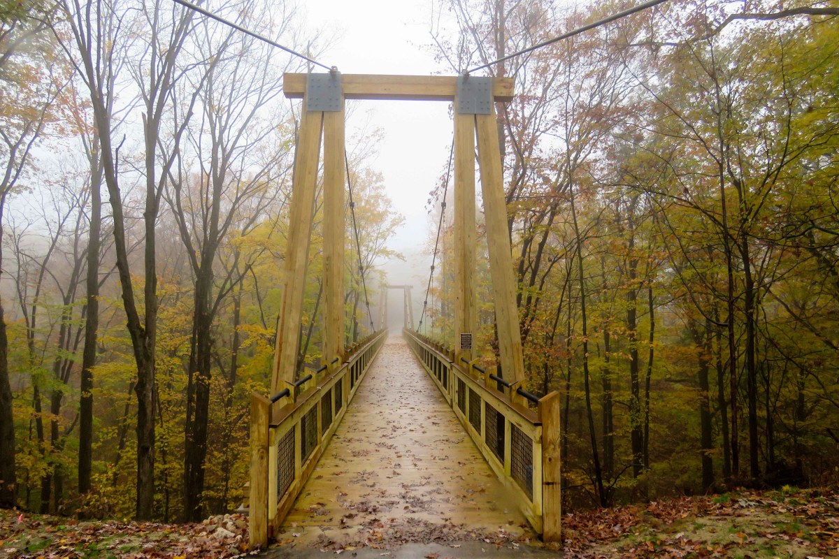 Hike This Gorgeous Suspension Bridge Trail In Jenison Michigan