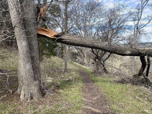 Best Hikes In Texas: Good Water Loop In Georgetown