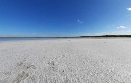 Salt Lake In Texas: La Sal Del Rey In Edinburg