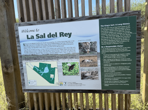 Salt Lake In Texas: La Sal Del Rey In Edinburg