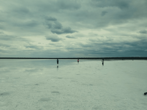 Salt Lake In Texas: La Sal Del Rey In Edinburg