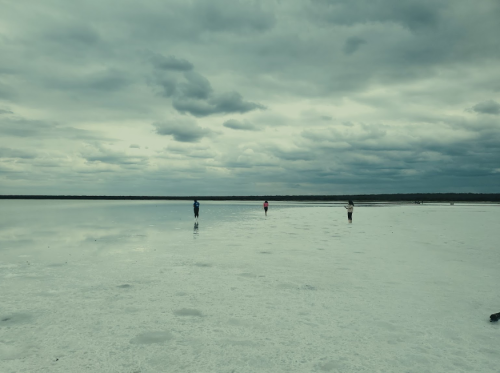 Salt Lake In Texas: La Sal Del Rey In Edinburg
