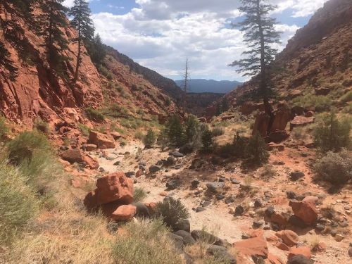 Bicknell, Utah: Most Peaceful Town In All Of Utah