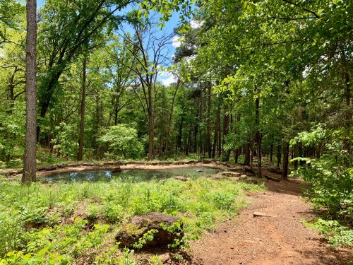 Adventurous Waterfall Hike in Tyler, TX: Whispering Pines Nature Trail ...