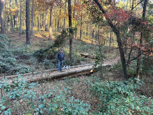 Adventurous Waterfall Hike in Tyler, TX: Whispering Pines Nature Trail ...