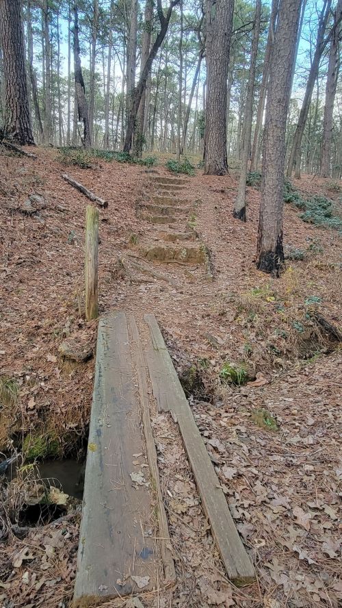 Adventurous Waterfall Hike in Tyler, TX: Whispering Pines Nature Trail ...