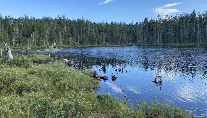Hike To Two Remote Ponds In The Mountains of New Hampshire
