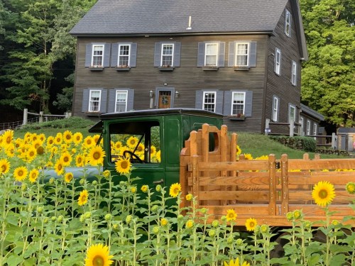 Hancock, New Hampshire's TulipFête Will Complete Your Spring