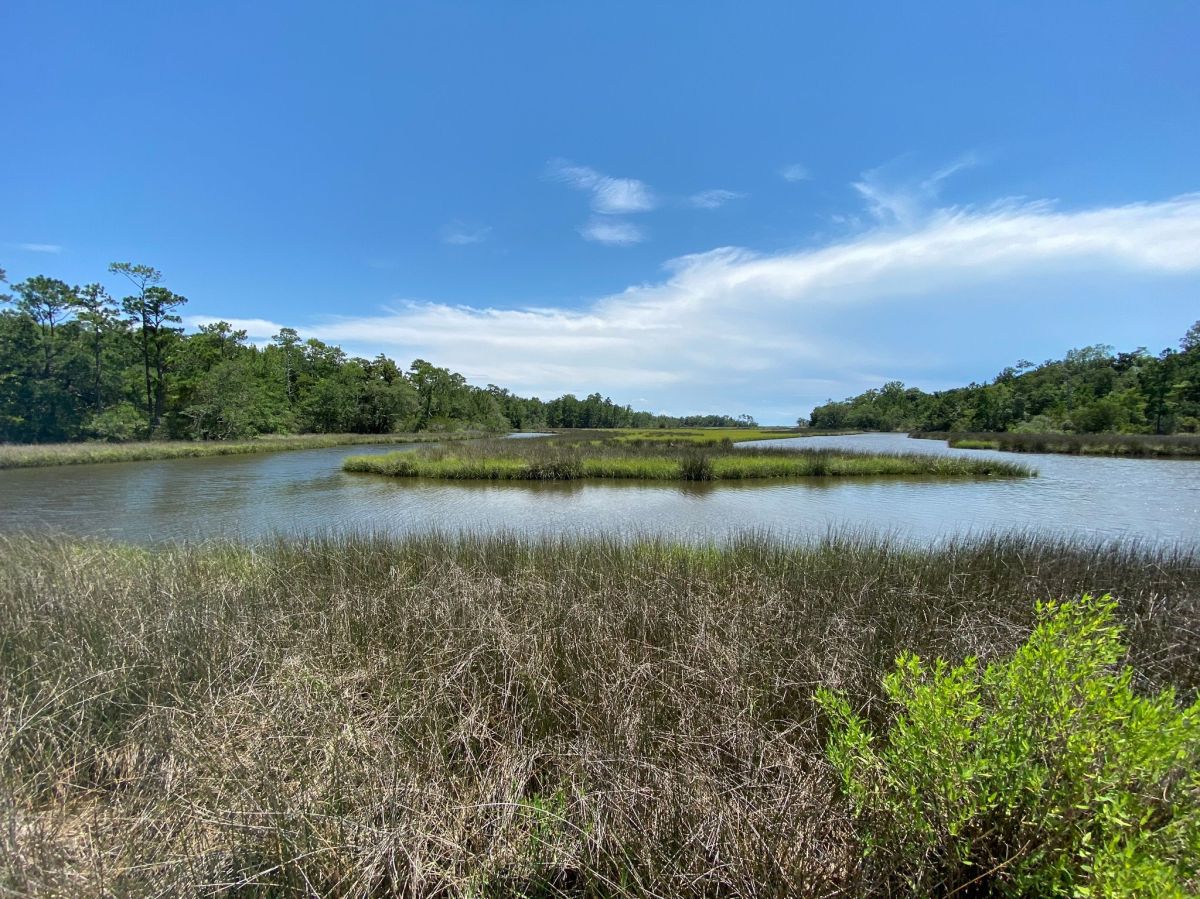 The Davis Bayou Trail In Mississippi Is A Short And Scenic Hike