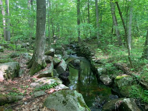 Follow The Canonchet Trail In Hopkinton, Rhode Island