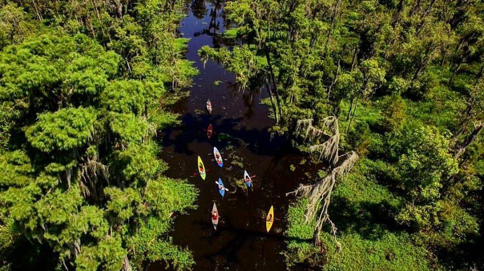 This Kayaking Tour In Louisiana Is An Outdoor Lover's Dream