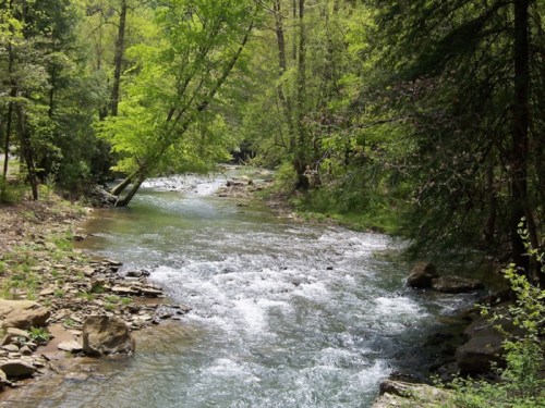 Panther State Forest: A Beautiful Drive In Southern West Virginia