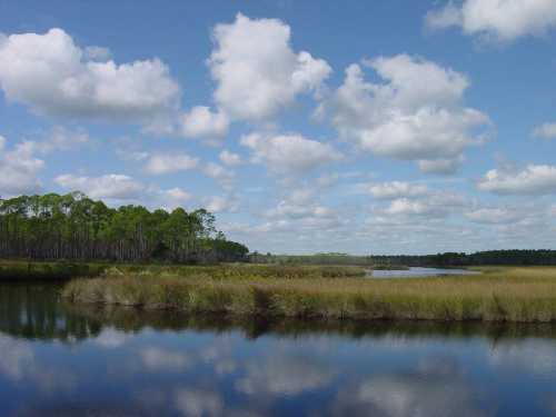 Florida Scenic Drives: The Big Bend Scenic Byway