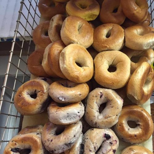 Katz Bagel Bakery: Old School Eatery In Chelsea, Massachusetts