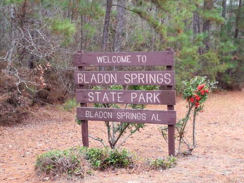 This Mineral Springs In Alabama Has Natural Healing Waters