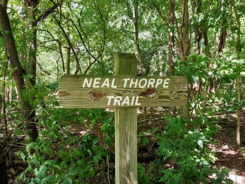 Journey Along The Neal Thorpe Waterfall Trail In Phoenixville, PA