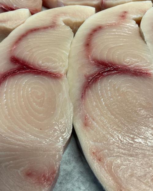 Fresh Fish: Jake's Seafood Restaurant In Hull, Massachusetts