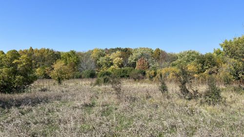 Havenwoods State Forrest Is A Beautiful Wisconsin Park