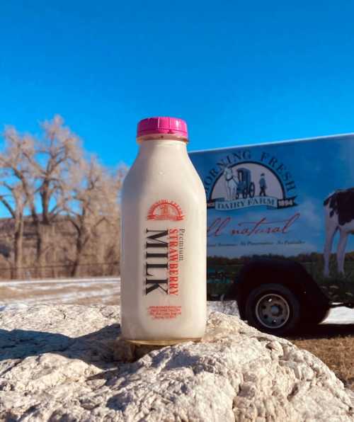 Morning Fresh Dairy Farm: Take A Tour In Bellevue, Colorado