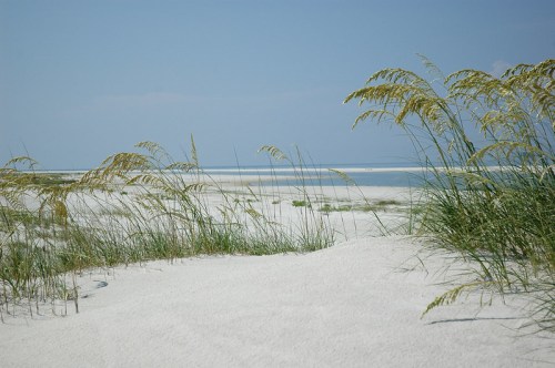 Discover Sand Dunes: Dauphin Island, Alabama