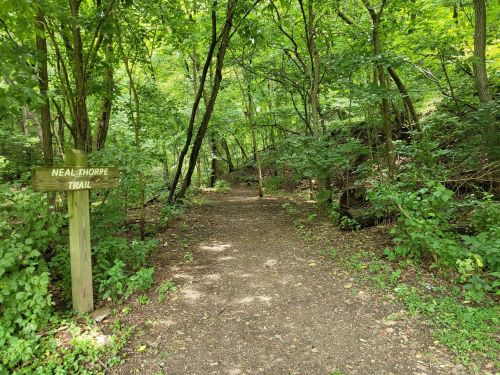 Journey Along The Neal Thorpe Waterfall Trail In Phoenixville, PA
