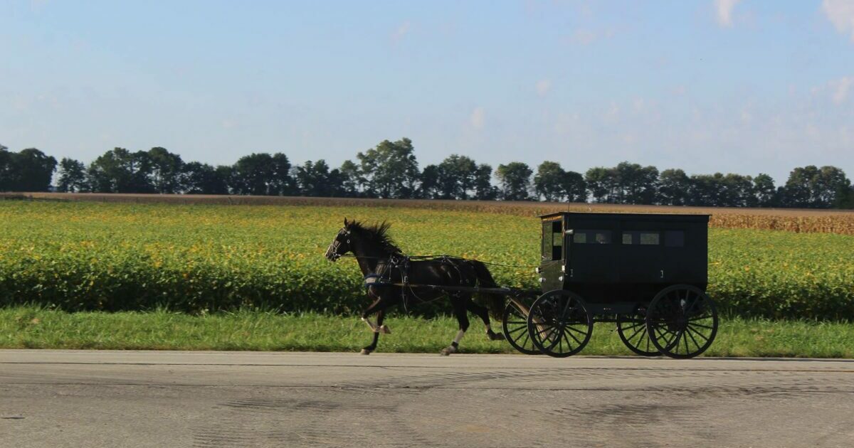 This Enchanting And Historic Town In Illinois Is The Perfect Day Trip ...