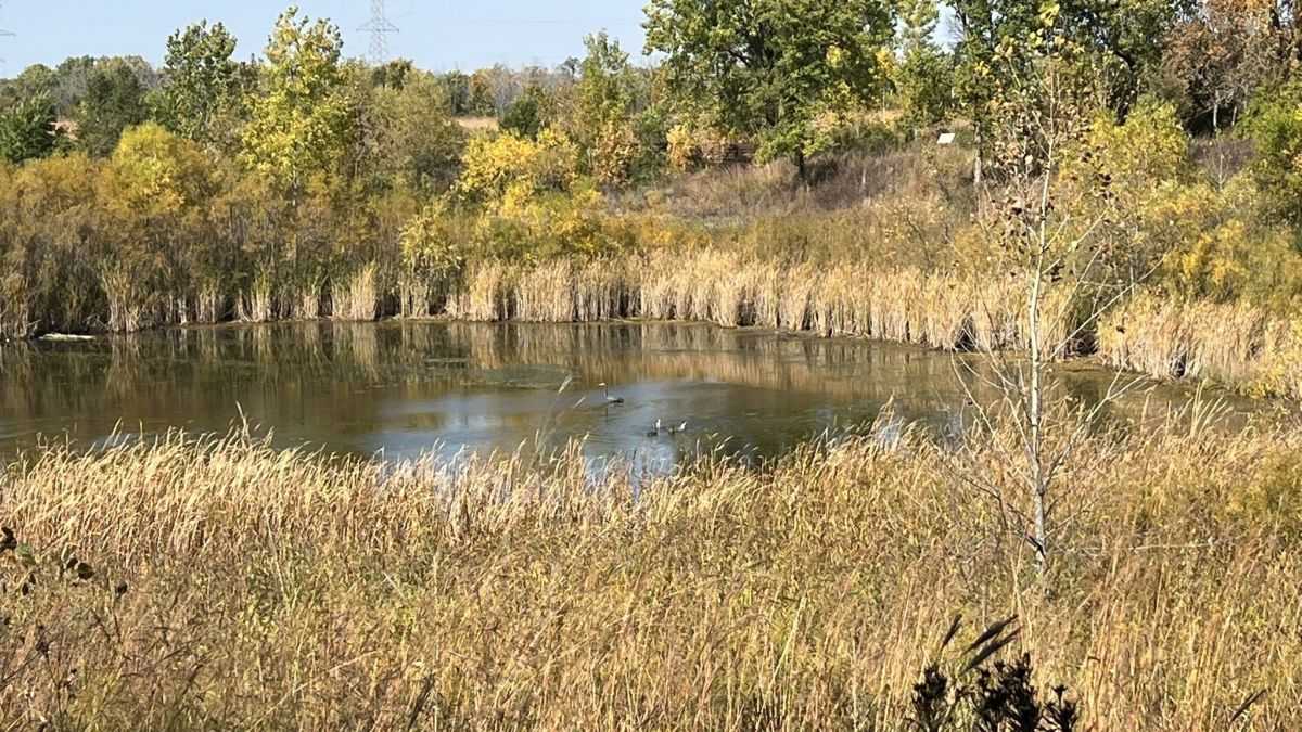 Havenwoods State Forrest Is A Beautiful Wisconsin Park