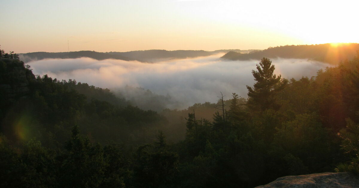 Red River Gorge Scenic Byway: Best Scenic Drive In Kentucky