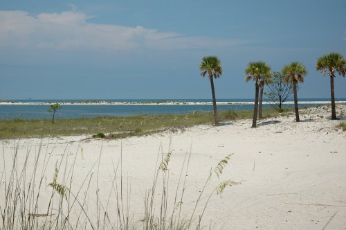 Discover Sand Dunes: Dauphin Island, Alabama